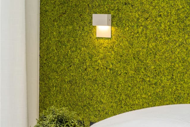 MOSS MIX natural surface | Product